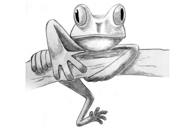 Frog Pencil Drawing by Young Art - On-Demand - Anytime, Anywhere ...