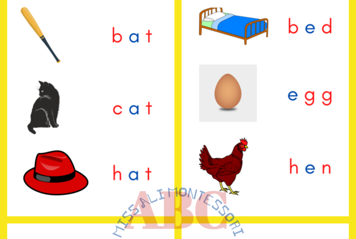 Moveable Alphabet Short Vowel Sounds by Miss Ali Montessori - On-Demand ...
