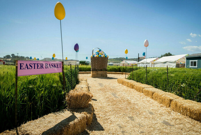 Springtime Easter Festival by Los Angeles Family Activities - Event ...