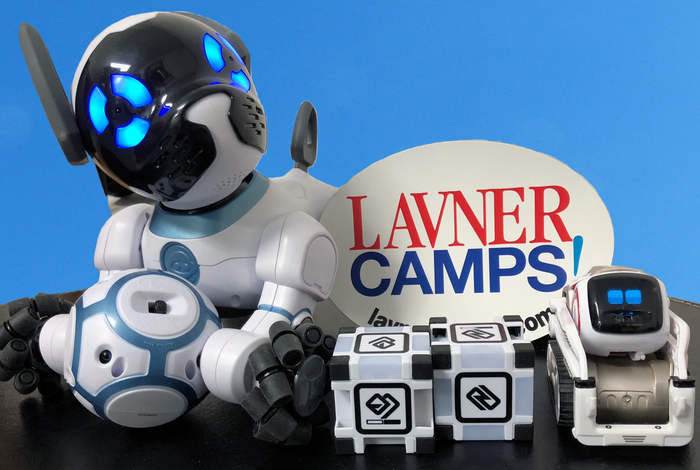 AI Camp - Machine Learning with ChatGPT by Lavner Education - Camp ...