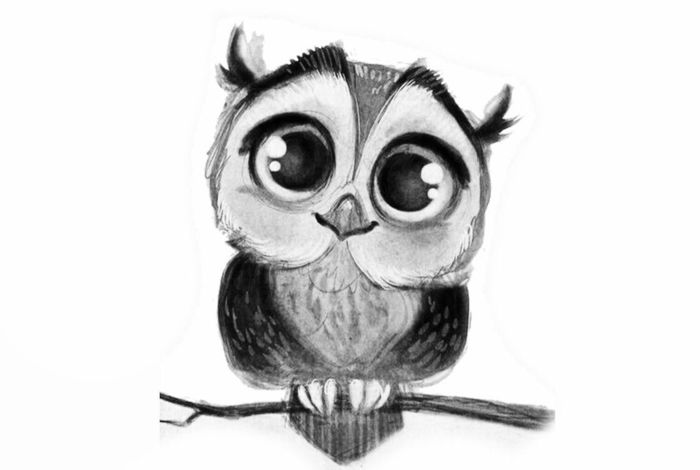 Night Animals Sketching Art Lesson by Young Art - Online Class - Dates ...