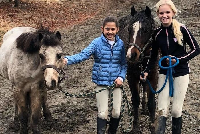 Victoria Dye Equestrian - See 2025 Schedules, Reviews & More ...