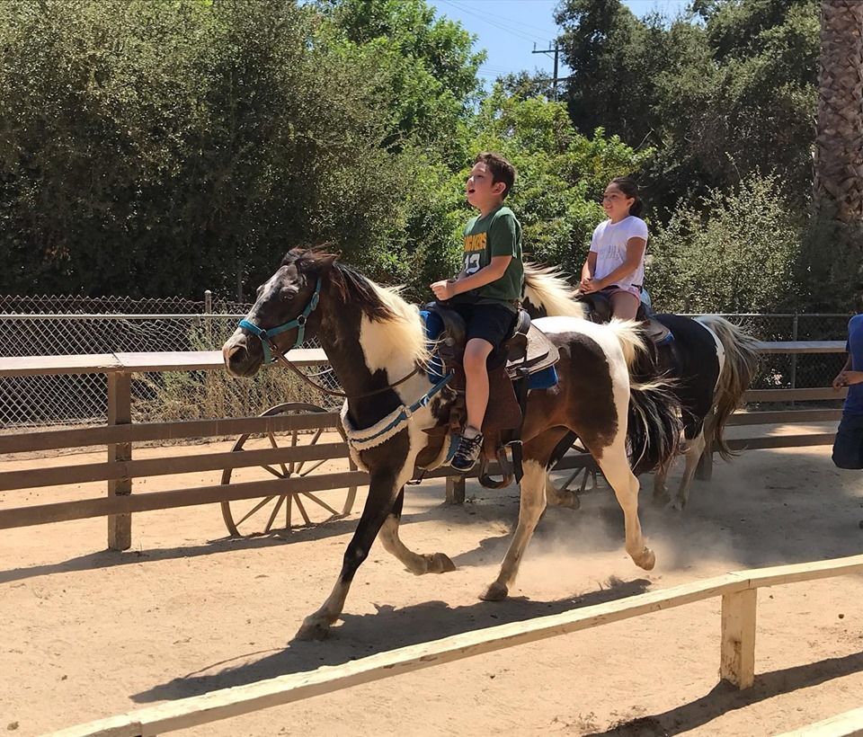 Griffith Park Pony Rides Birthday