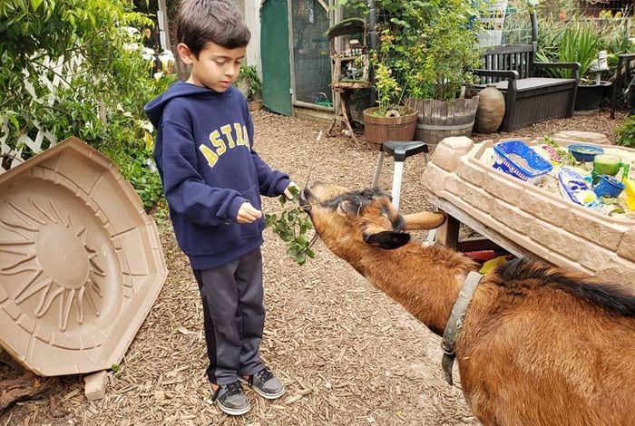 Little Garden Patch Farm, Farm Camp & After School Care - See 2025 ...