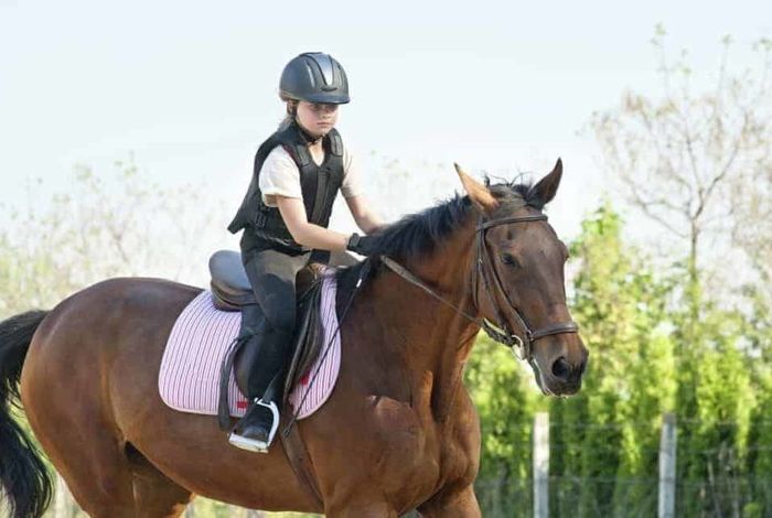 Pee Wee Pony Club - See 2026 Schedules, Reviews & More | ActivityHero.com