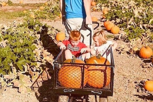 Gambonini Family Ranch - See 2025 Schedules, Reviews & More ...